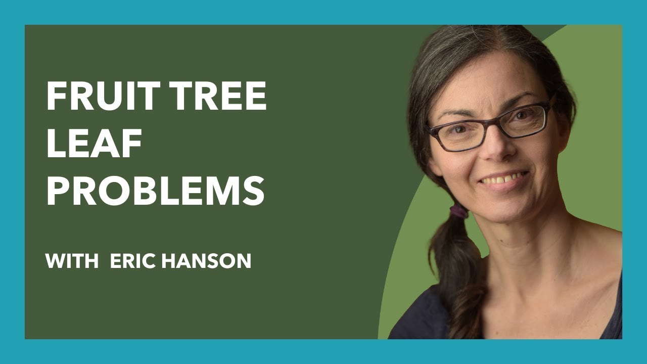 Fruit Tree Leaf Problems: Identifying Fruit Tree Nutritional ...