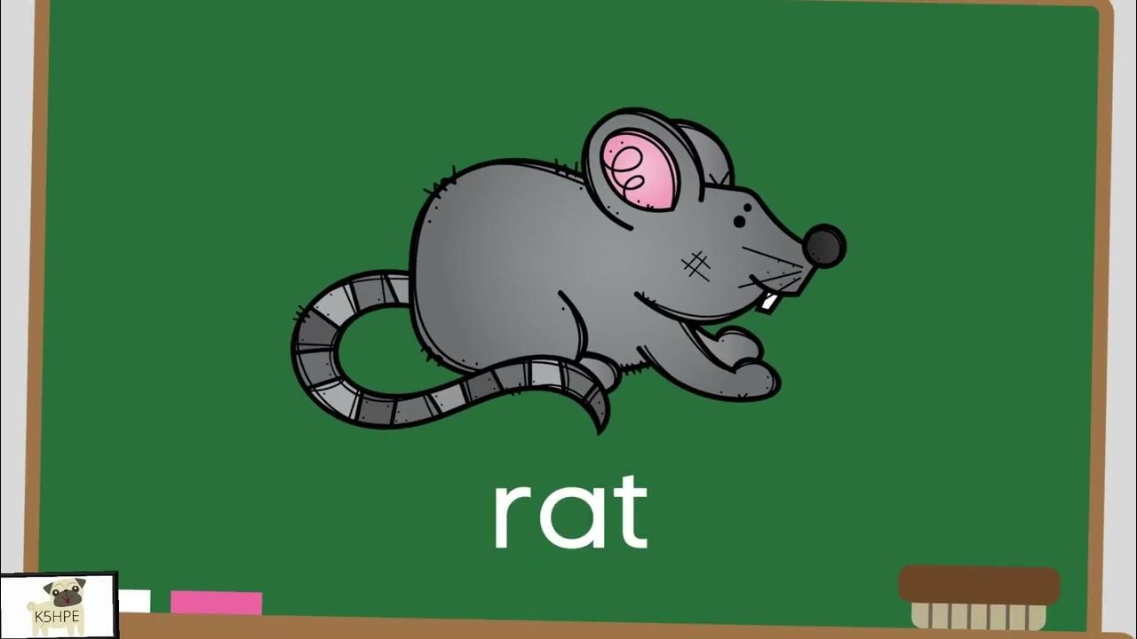 Word Family At, Phonics, Phonograms, Reading, Virtual School, Online ...