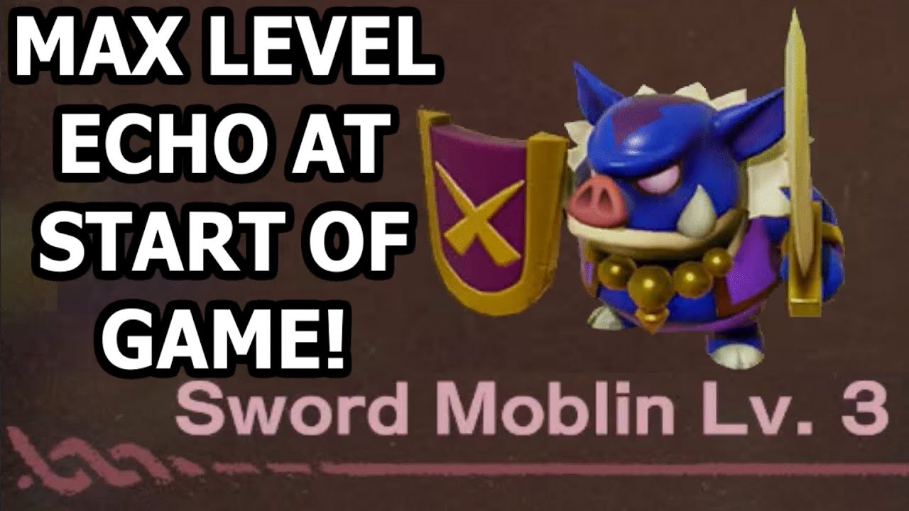 Sword Moblin Lv 3 - Sword Moblin Lv 3 Location Zelda Echoes Of Wisdom ...