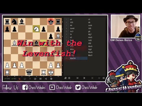 How to win quickly with the Levenfish Variation! - YouTube