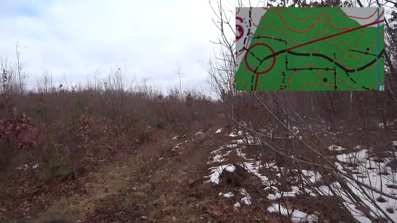 Sessions Woods Yellow - YouTube