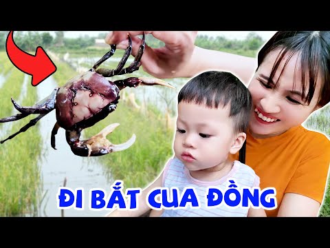ZINO LẦN ĐẦU ĐI BẮT CUA ĐỒNG - VÊ VÊ CHANNEL