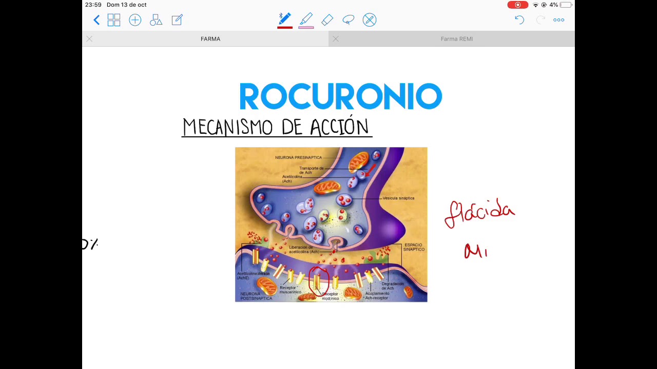 ROCURONIO - YouTube