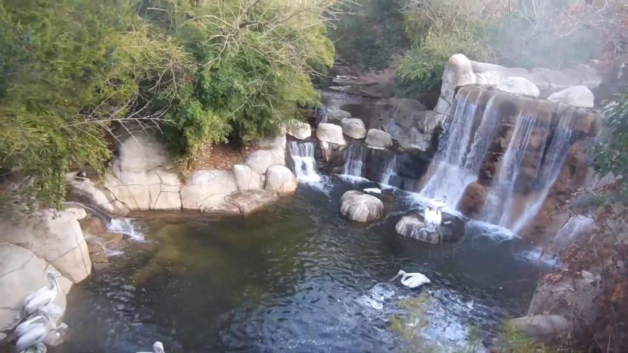 Dallas Zoo Monorail (NOW PERMANENTLY CLOSED AT DALLAS ZOO) - YouTube