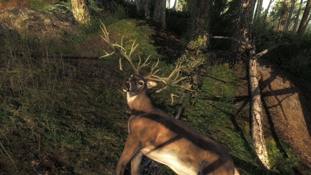 TheHunter {Logger's Point} Non Typical White tail Deer Hunt - YouTube
