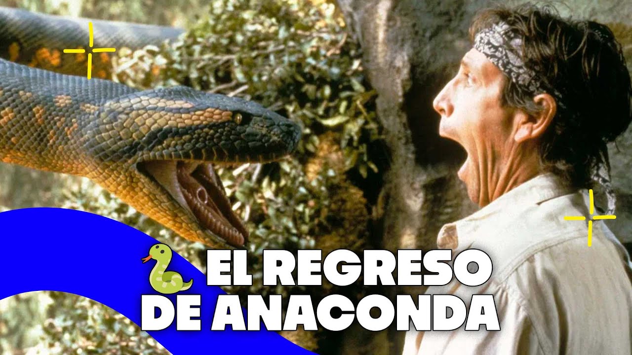 Anaconda, Jimmy Kimmel, Bambú e Ibby México - YouTube