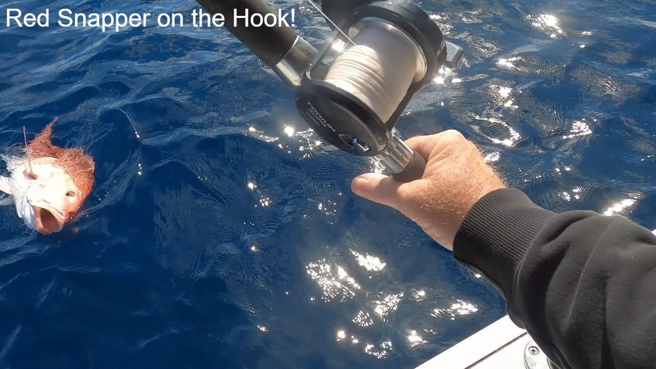 I Hook My Personal Best Red Snapper; Fishing Offshore. - YouTube