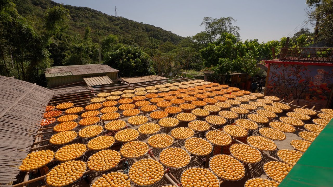 Dried Persimmon Processing - YouTube