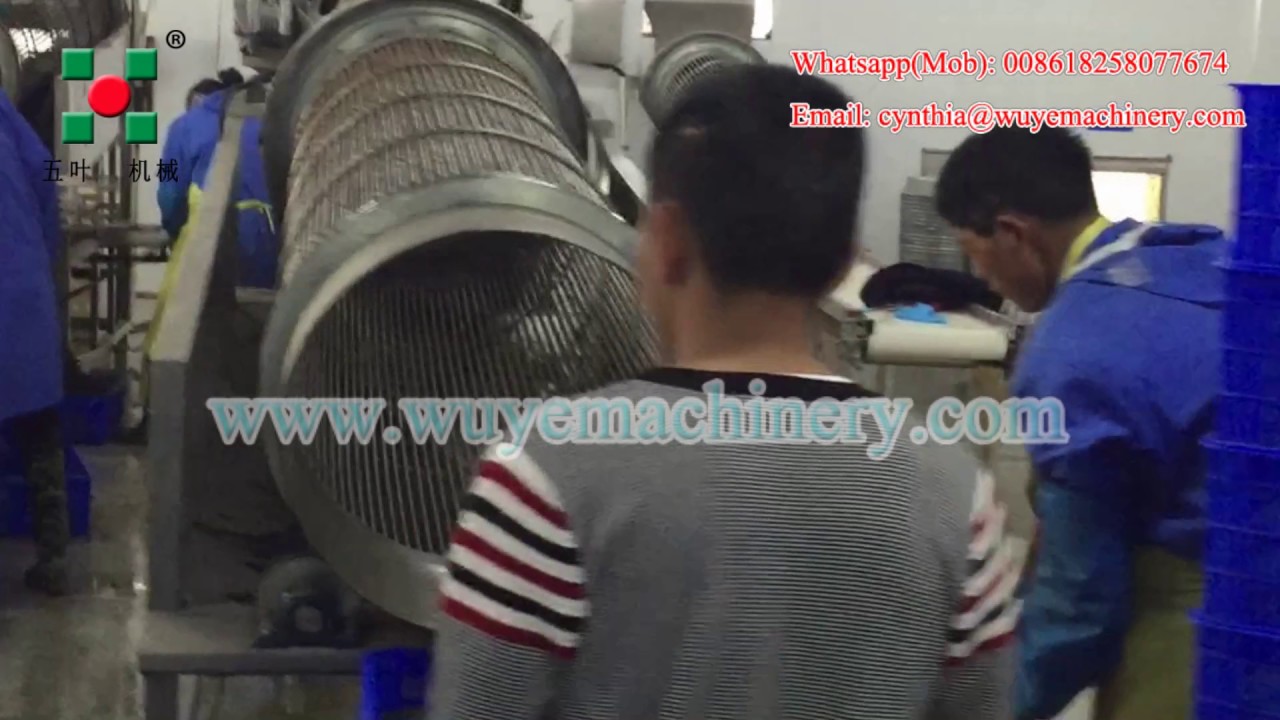 Lobster processing machines picking conveyor selecting machine Lobster grading grader machine ...