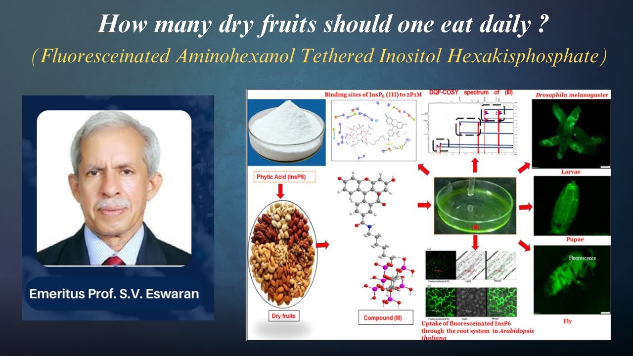 How many dry fruits should one eat daily? (Fluoresceinated InsP6) by Emeritus Prof. Dr. S.V ...