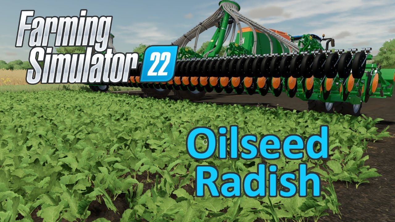 Farming Simulator 22 Tutorial Oilseed Radish Fertilizer Youtube