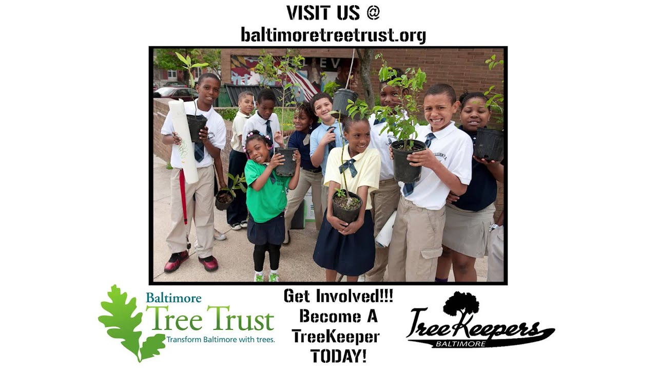 Baltimore Tree Trust Video Contest: Enter to WIN up to $1,000!!! - YouTube