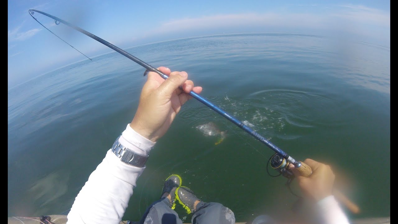 Light Jigging with Micro Jig Inshore Fishing NY ep. 131 - YouTube