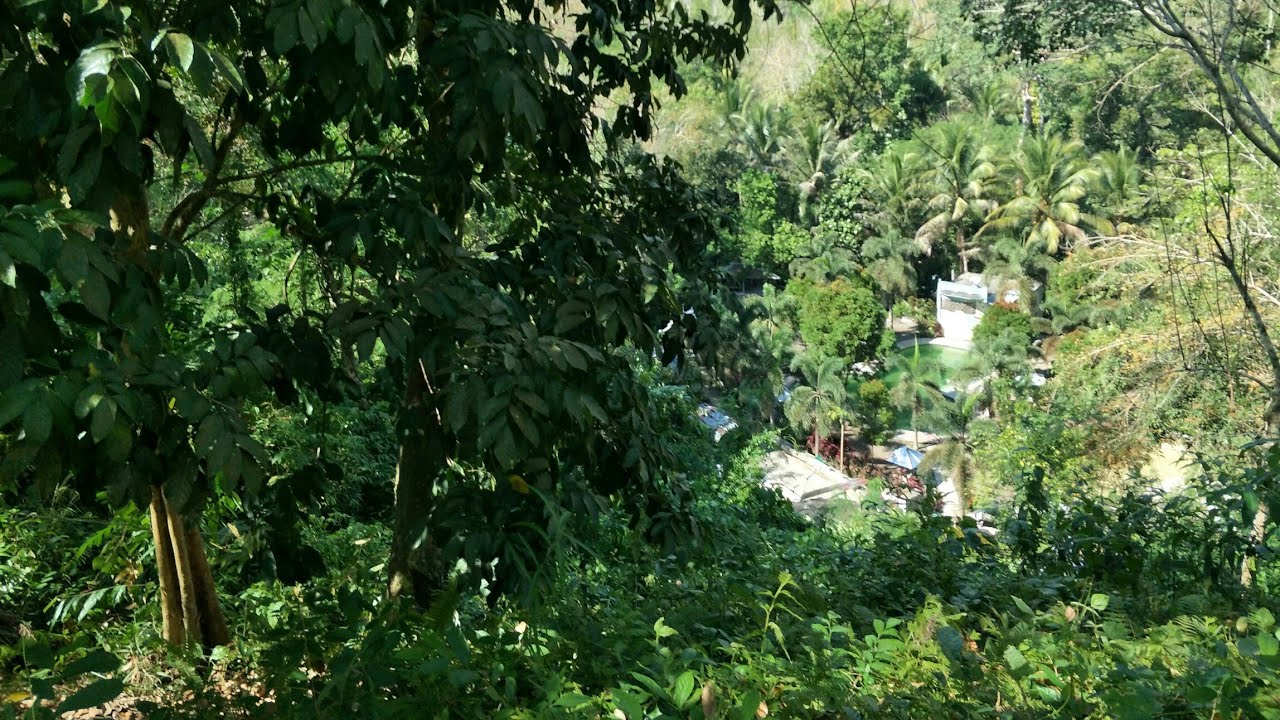 Exploring The Majestic River of Kidapawan City - YouTube