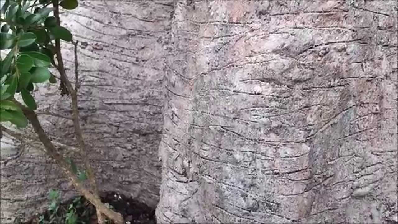 How to make Concrete Mountains on a G scale Garden Railroad - YouTube