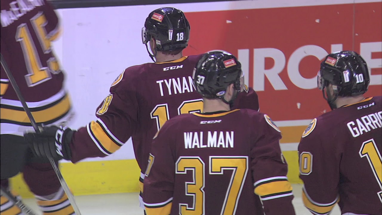 Game Highlights Dec. 30 Chicago Wolves vs. Rockford IceHogs - YouTube