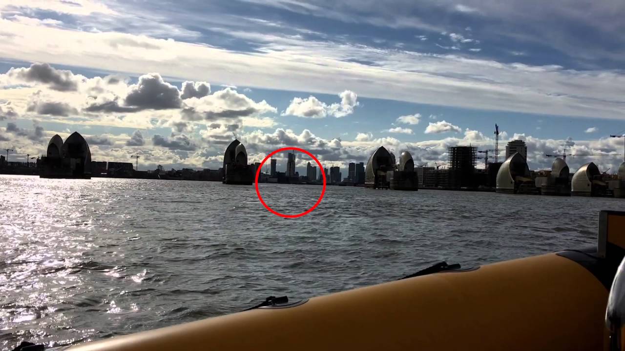 The Thames Monster caught on video?? - YouTube