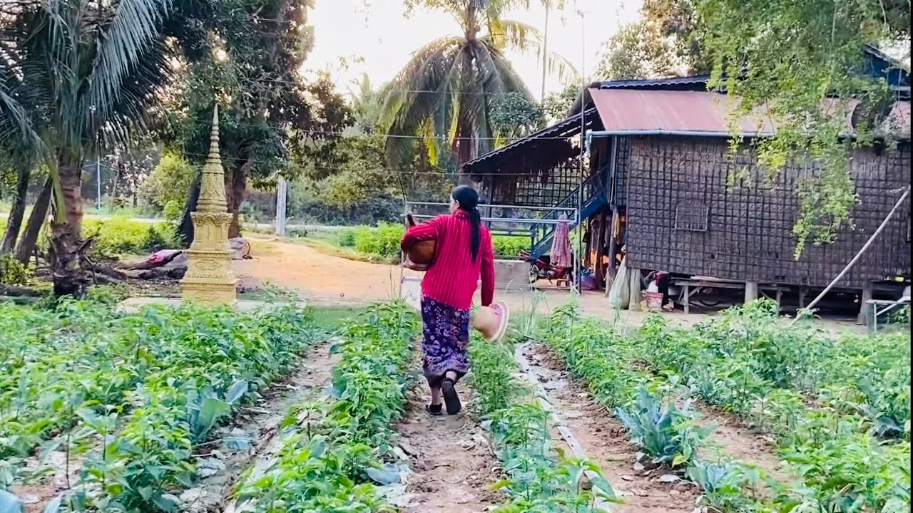 Papaya Salad With Prahok And Dried Fish In The Village Garden - YouTube