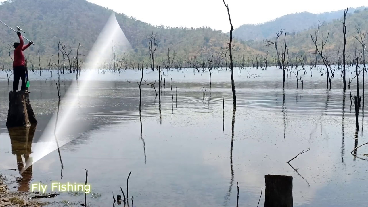 video fishing , Fly Fishing , Entertainment With Fish turning , Emma's ...