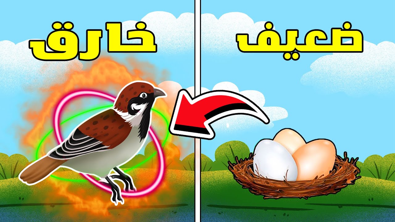 من بيضة ضعيفة الي عصفور خارق 🐦🔥 Roblox Youtube