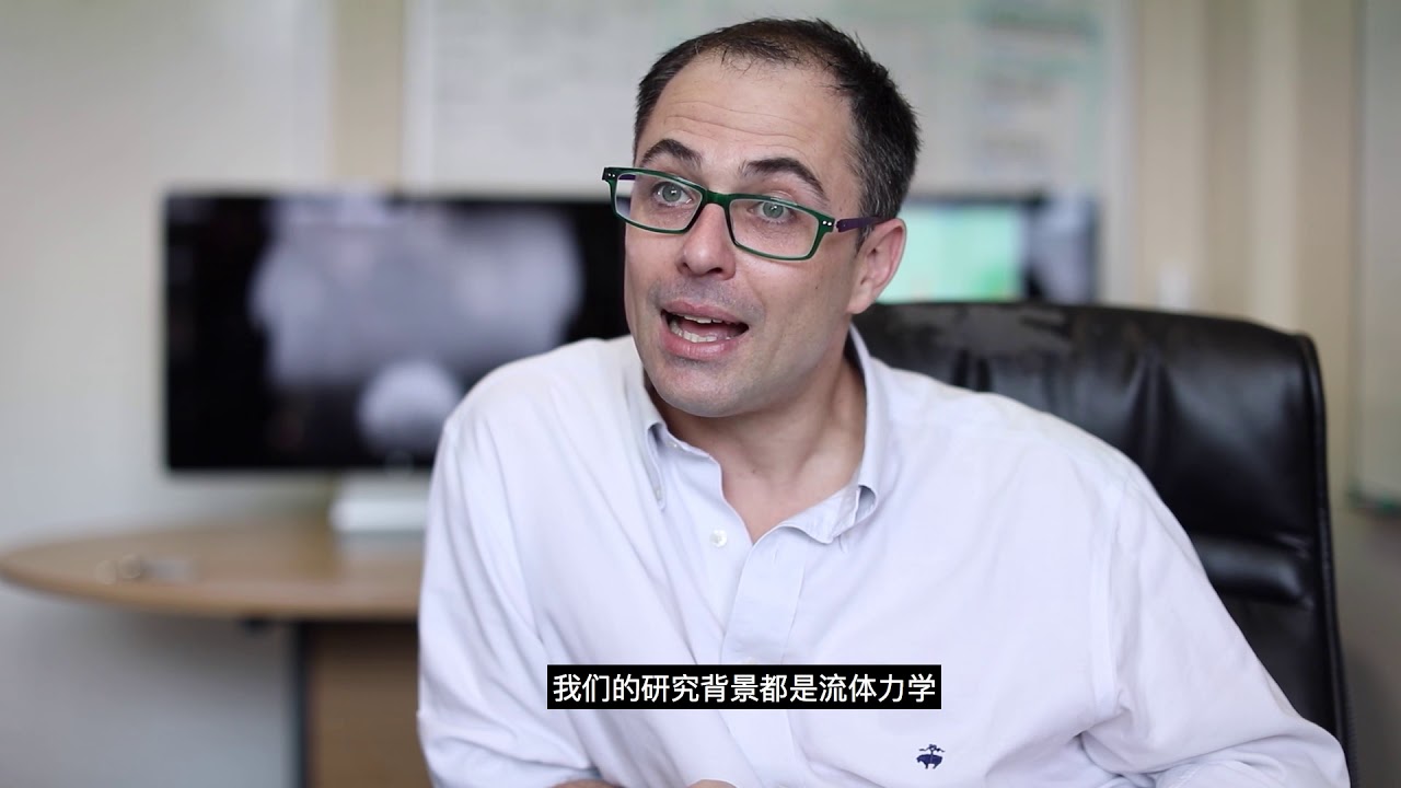 Snapshot of Prof. Ignazio Maria Viola's fluid mechanics research in ...