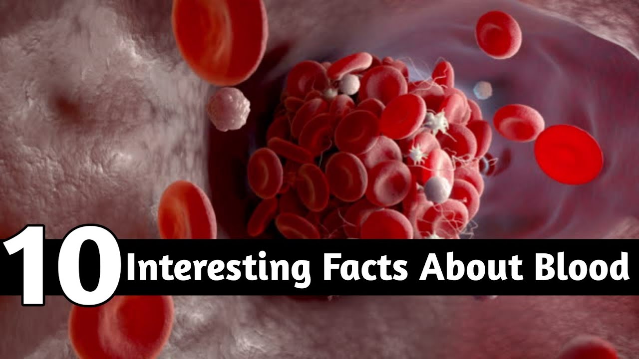 10 Interesting Facts About Blood | Blood Interesting Facts | Hindi/Urdu ...