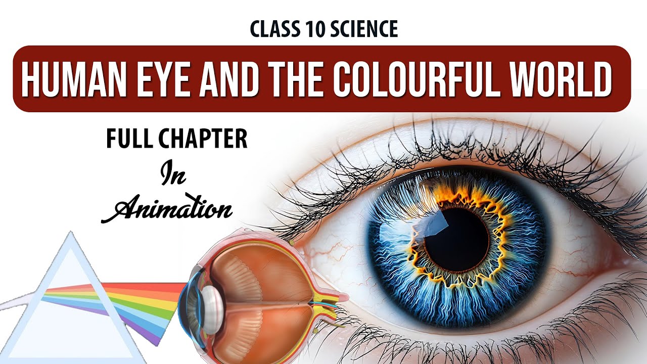 Human Eye and Colourful World Full chapter (Animation) | Class 10 ...