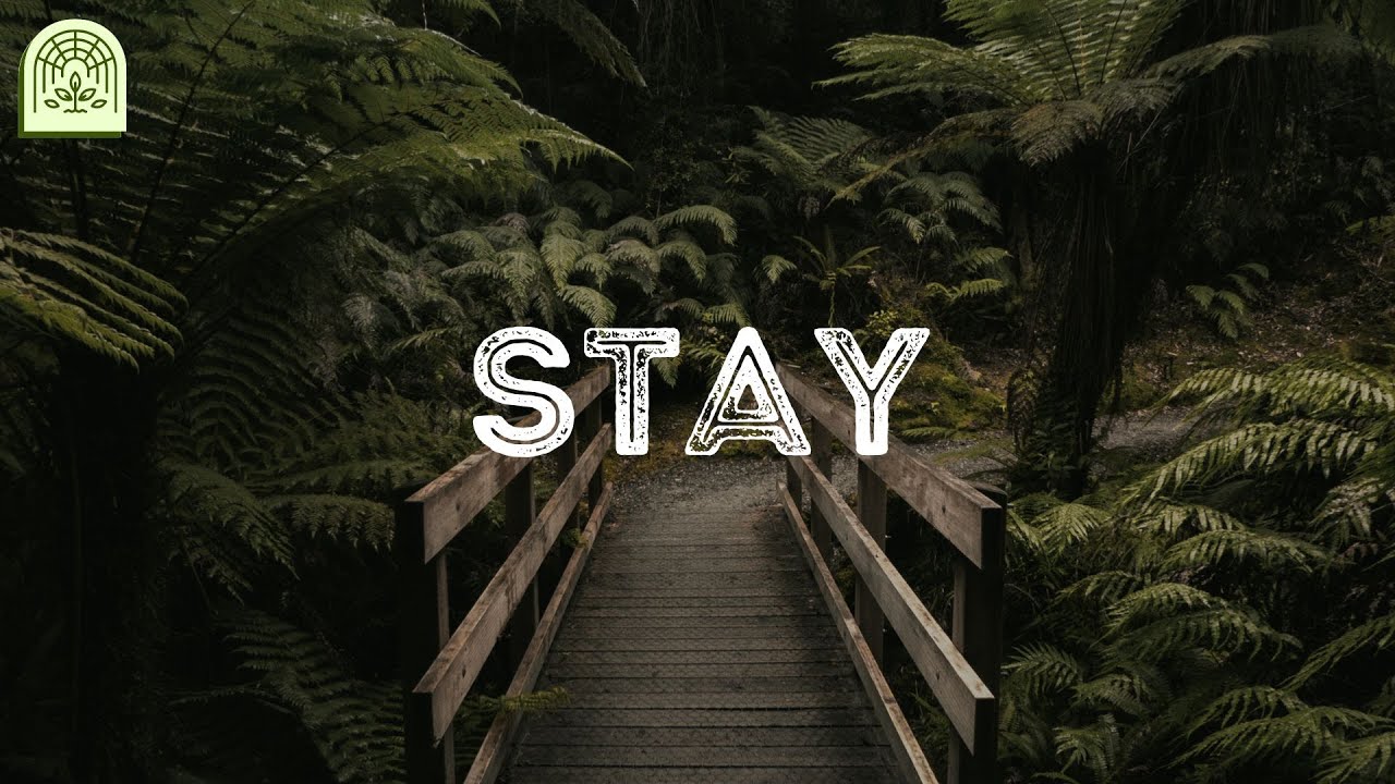 The Kid LAROI, Justin Bieber - Stay (Lyrics) || Stay Mix Playlist ...