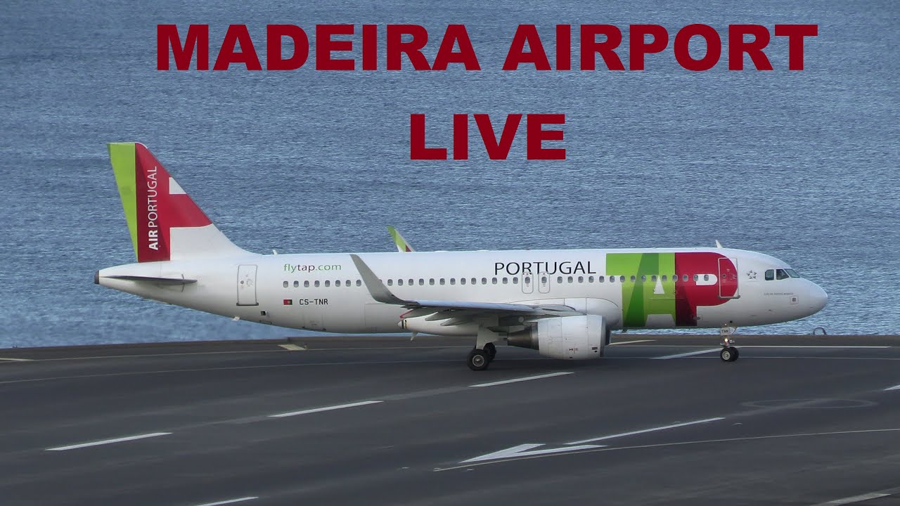 4K LIVE Shark Plane: Madeira Airport / Aeroporto da Madeira ao VIVO ...