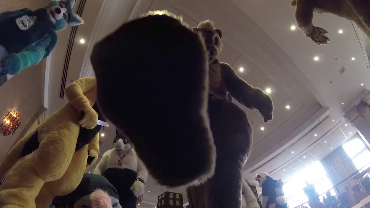 Stomp Cam 06 - YouTube