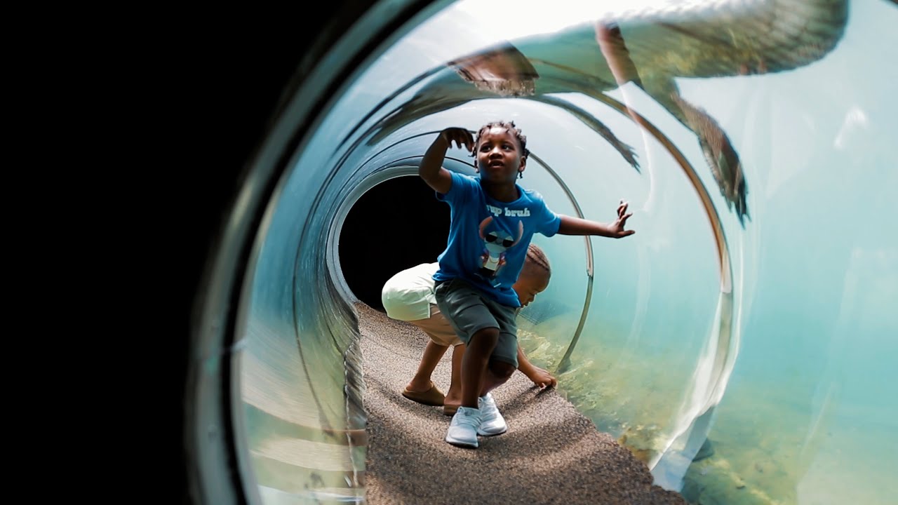 Miami Zoo Adventure alligator tunnel otter slide #miami #zoo #kids # ...
