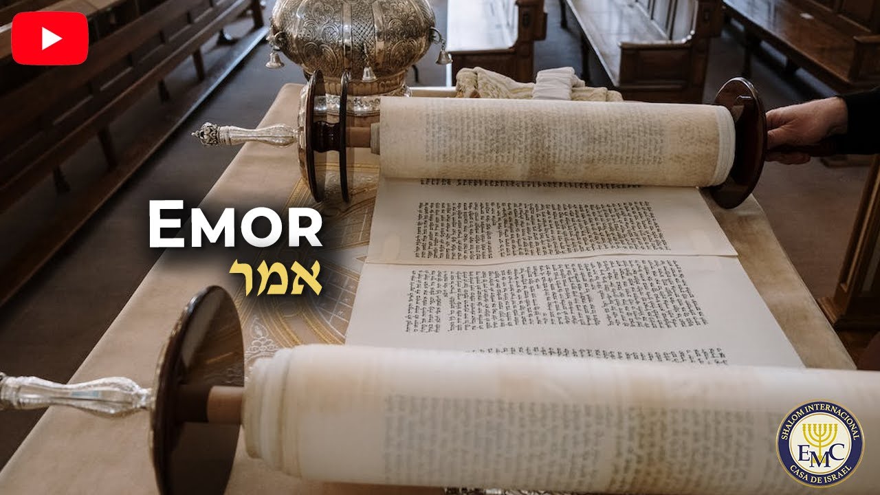 📜 Curiosidades de la parashah - EMOR #31 - YouTube