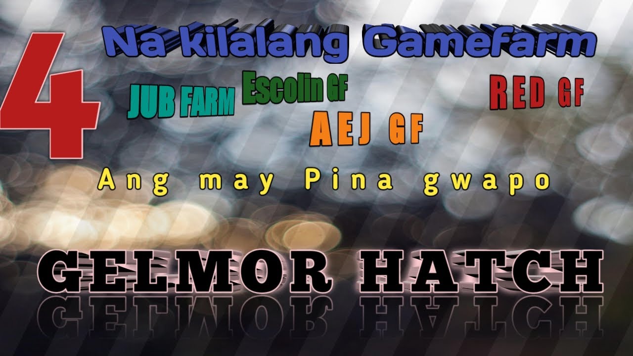 Gelmor Hatch sa Pilipinas/JUB Farm, Escolin GF, AEJ GF and Red GF - YouTube