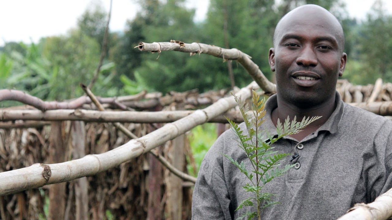 I Am Congo - the Conservationist - YouTube