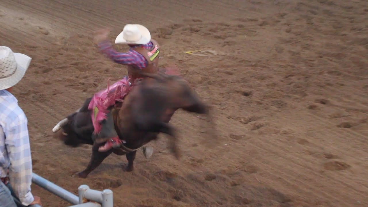 Dallas County Fair 2014 Double S Bull Company Extreme Bull Riding ...