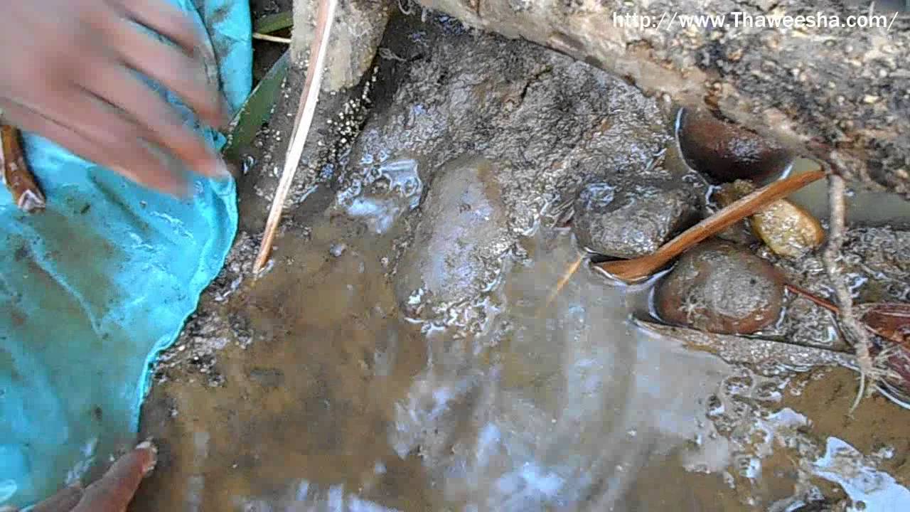 Saving a fish life - YouTube