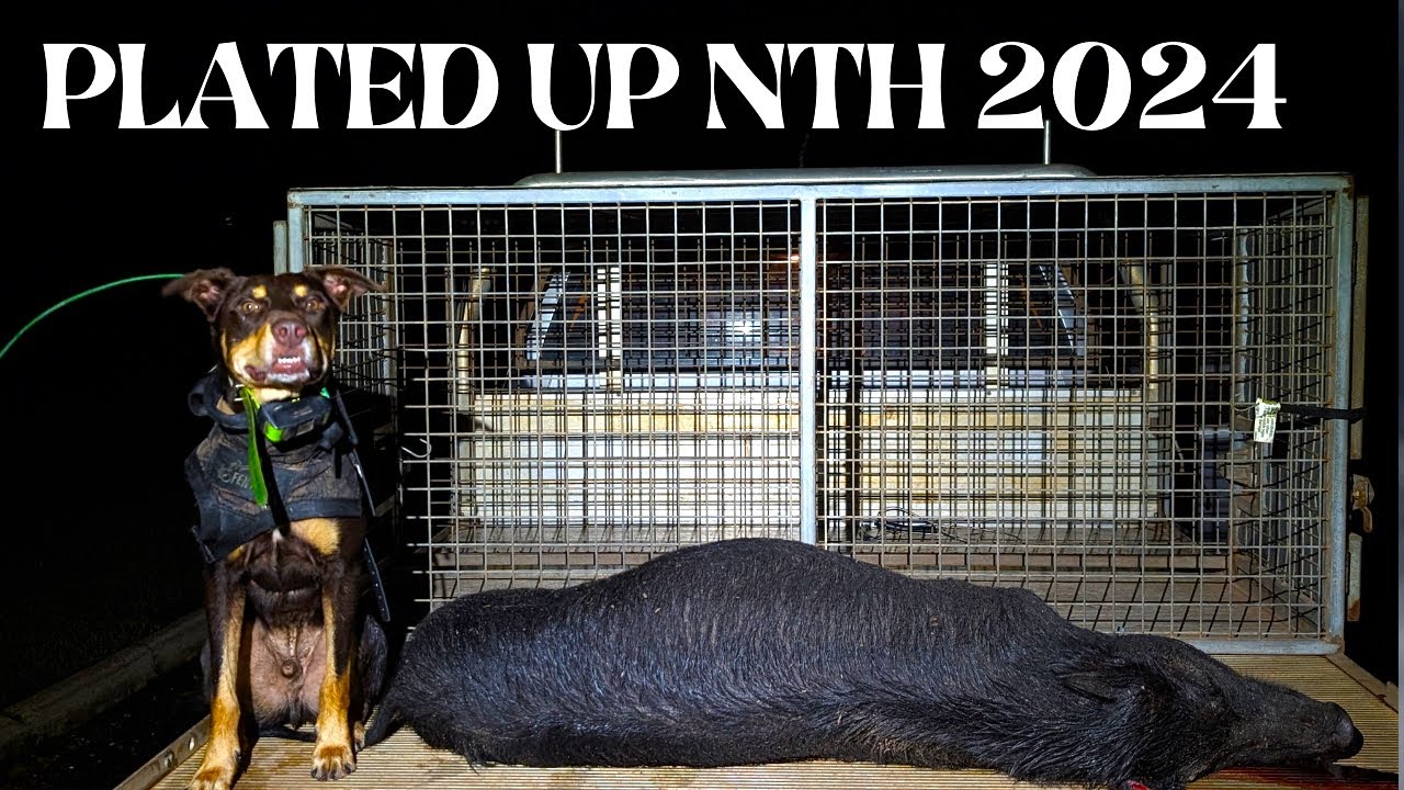 First pig for 2024 off my back! | NT Pig Hunting | PUNTH EP 1 2024 ...