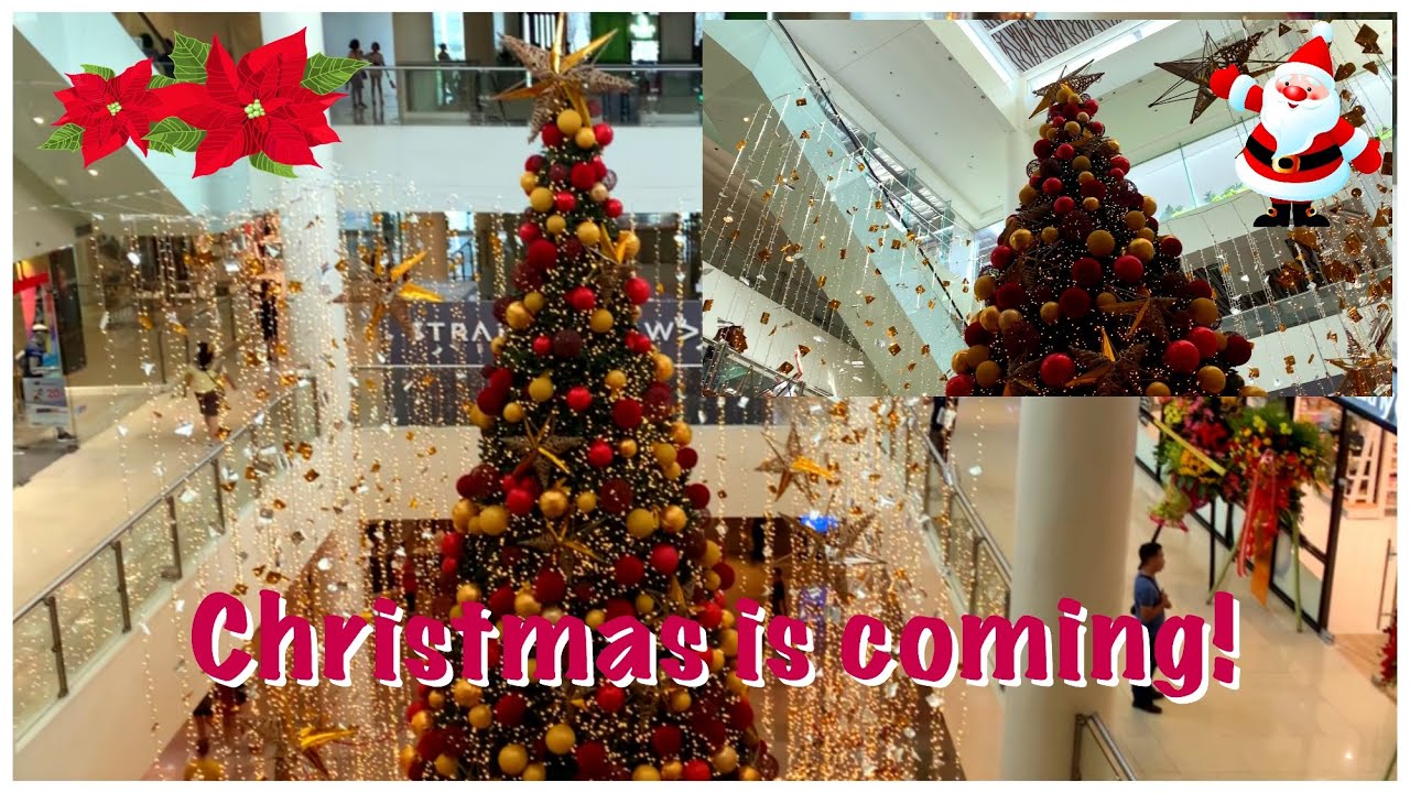 Huge Christmas Tree is up in ayala mall| Cebu Philippines - YouTube