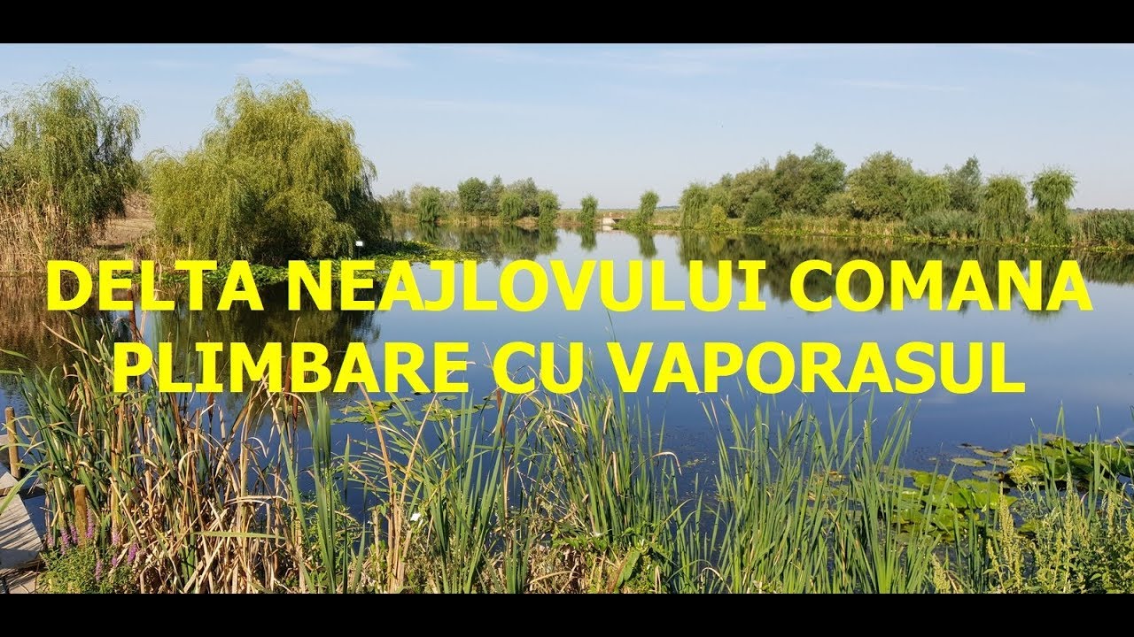 Delta Neajlovului Comana - Plimbare cu Vaporasul - YouTube