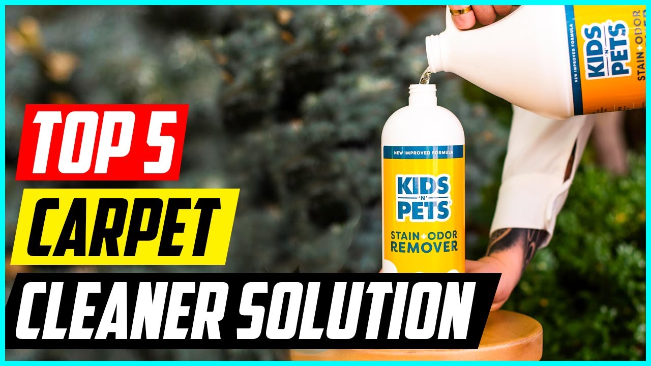 5 Best Carpet Cleaner Solution for Pets - YouTube