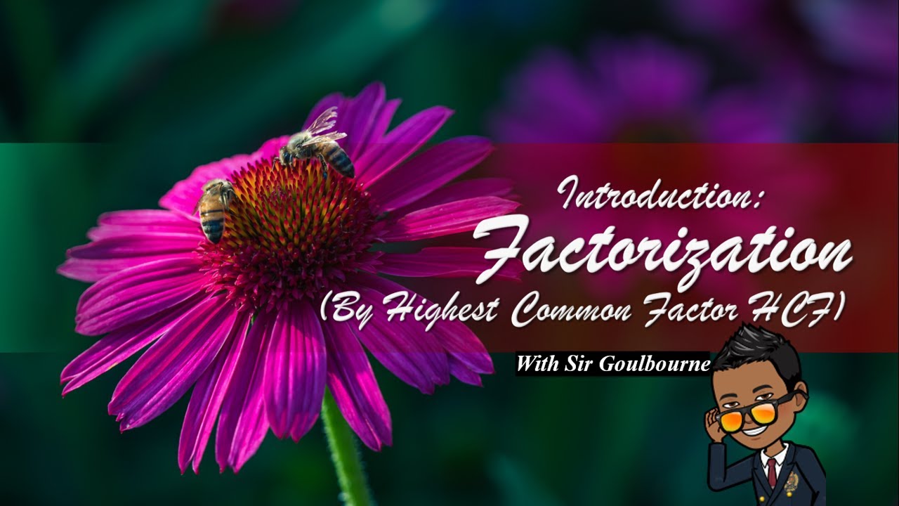 Introduction To Factorization YouTube introduction-to-factorization-youtube