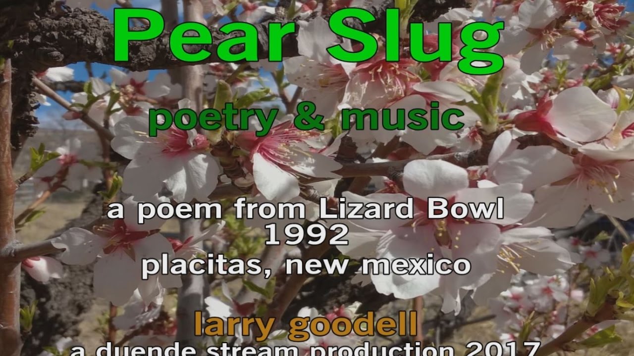 Pear Slug - a Poem with Music - YouTube