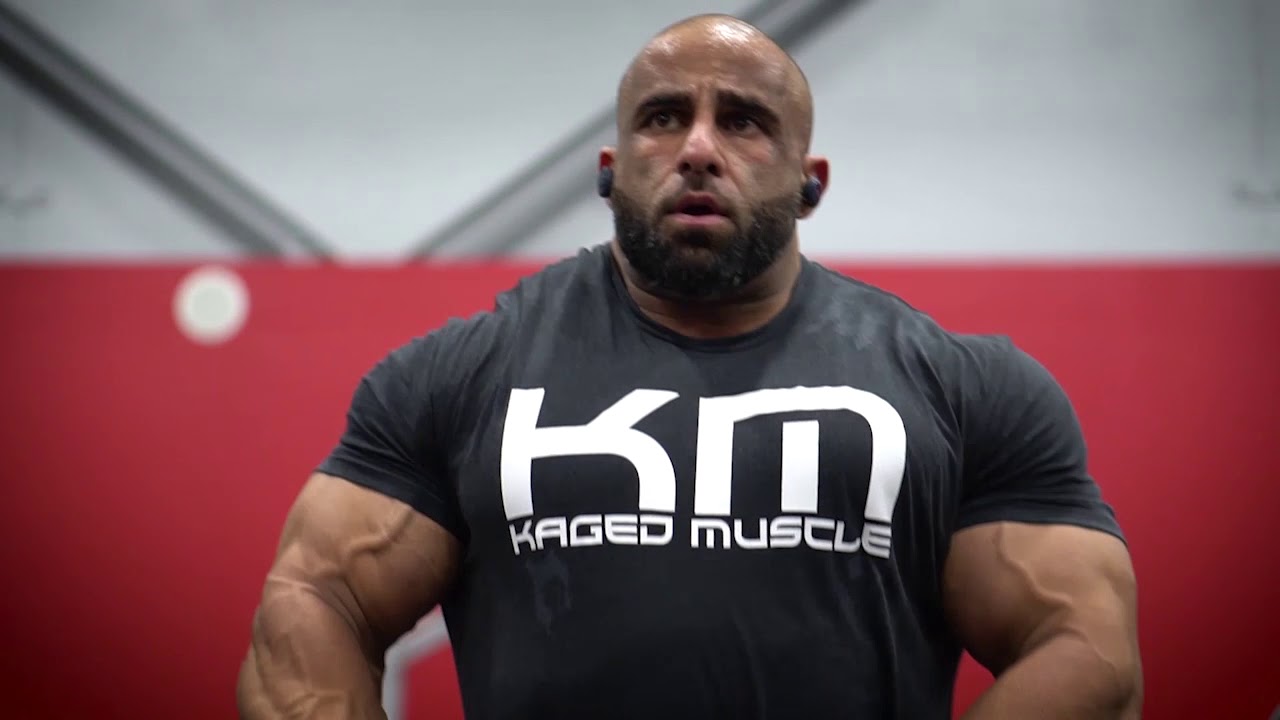 Fouad Abiad Full Back Workout - YouTube