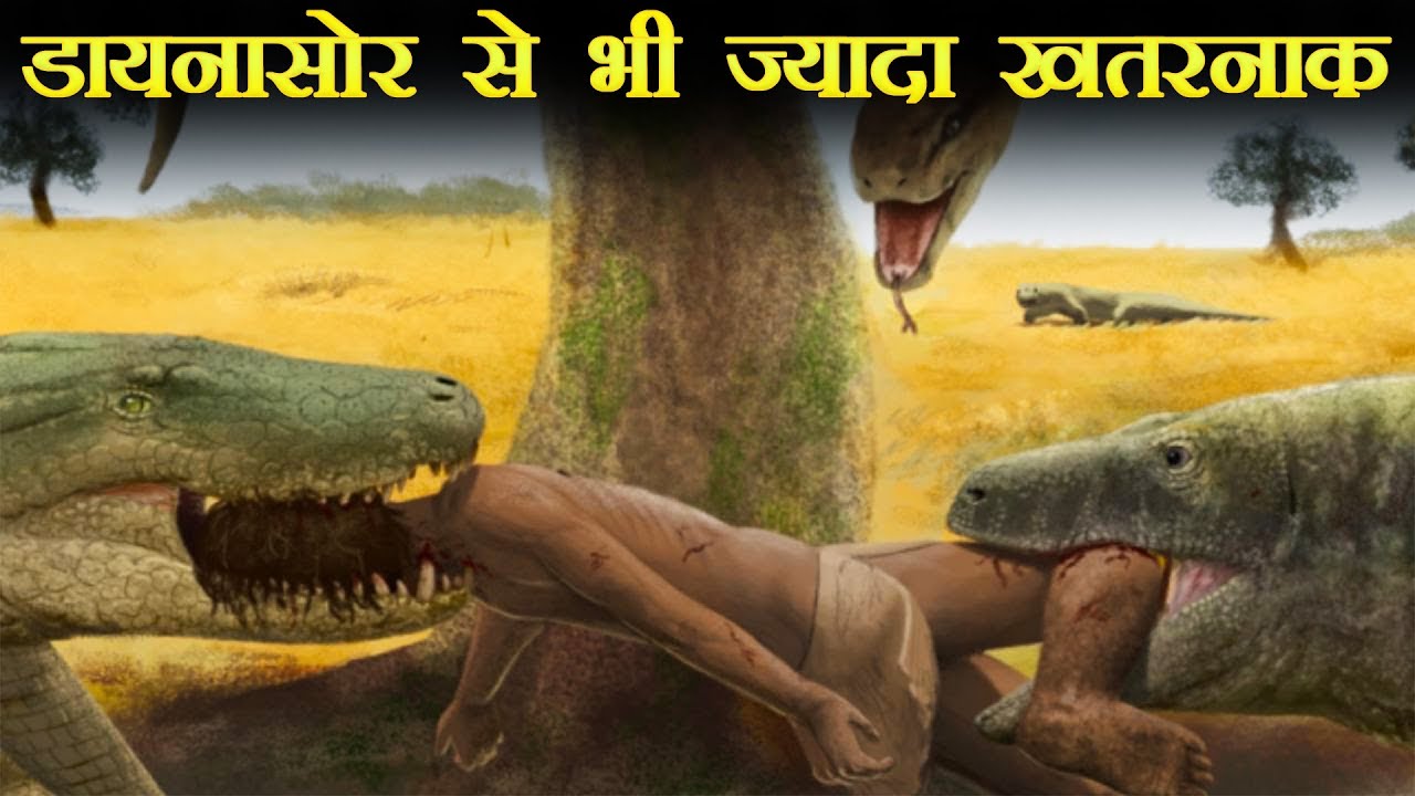 Extinct Animals That Once Lived In Australia | Duniya Ka Sabse ...