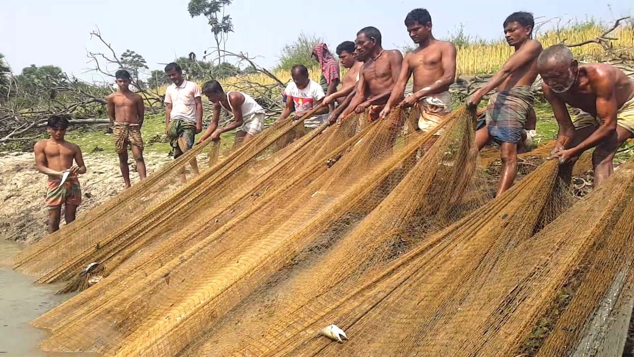 Amazing net fishing in river - Catching lot of fish with net. - YouTube