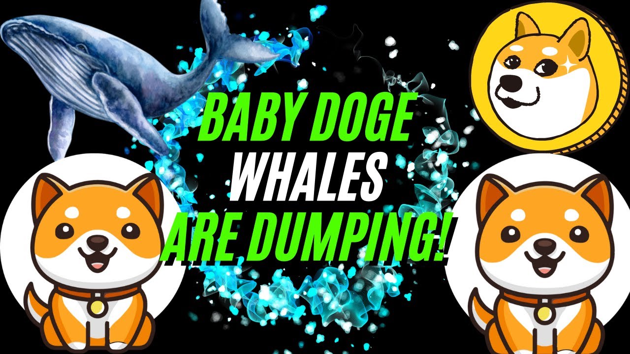 BABY DOGECOIN BIG UPDATE | WHY IS BABY DOGE STILL FALLING | BABY DOGE ...