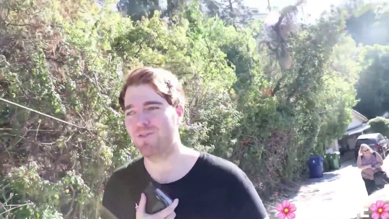 Shane Dawson being a great dad for a minute straight - YouTube