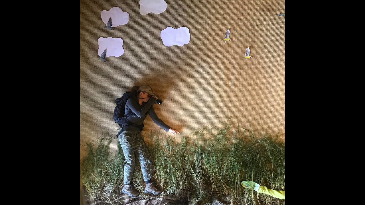 Lockdown Dreaming - A Stop Motion Movie By Eloise Greenacre - YouTube