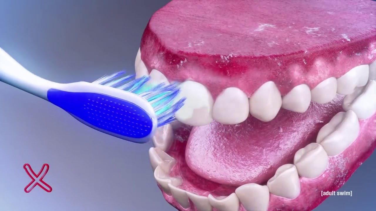 how to brush proper - YouTube