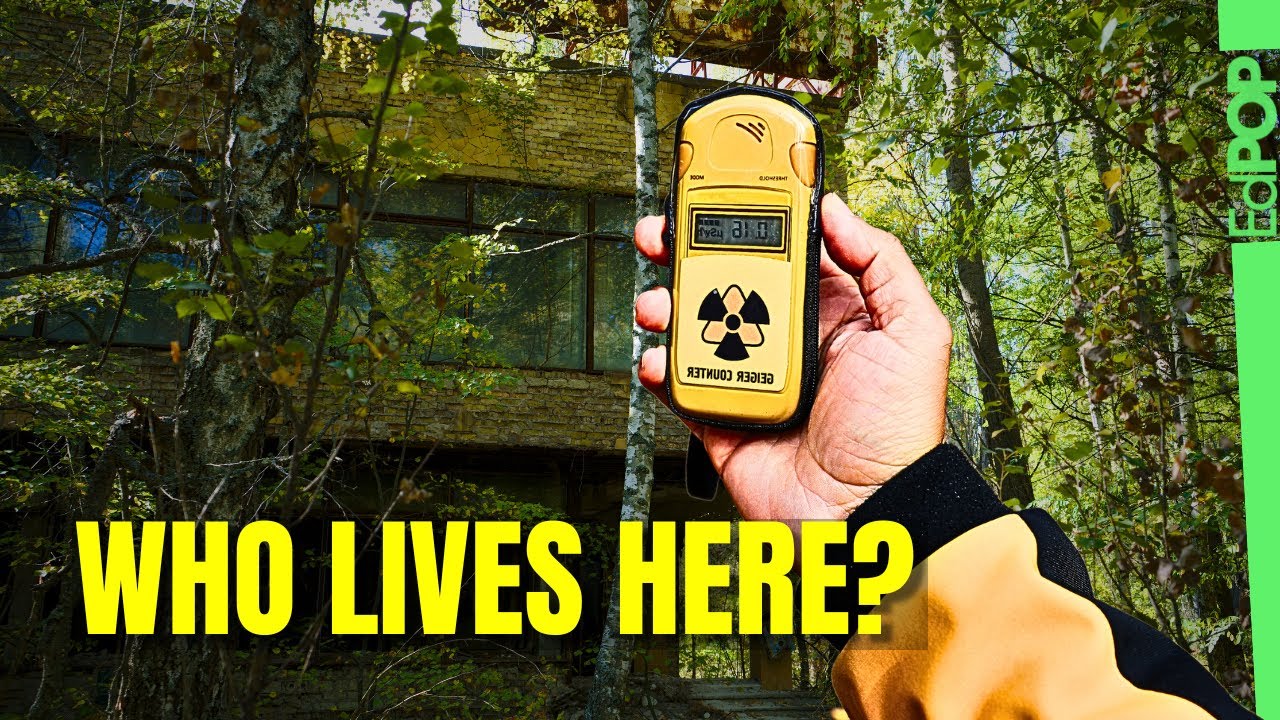 7 Shocking Habitats: Life's Survival in Earth's Most Extreme Conditions ...